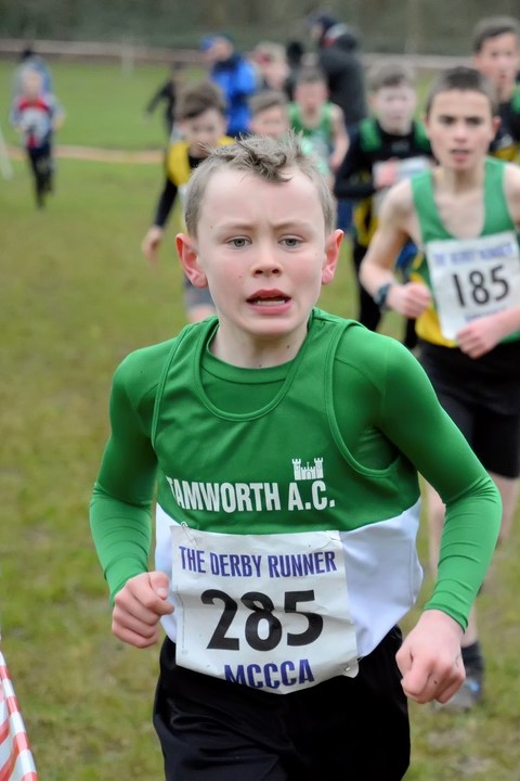 Midland Cross Country Championships: Prestwold Hall, Loughborough, Sat ...